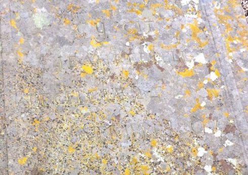 REUBELL ou REWBELL Jean-François - Tombes Sépultures dans les ...