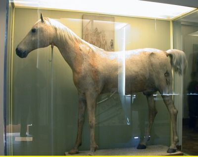 LE VIZIR et MARENGO: les plus célèbres chevaux de Napoléon Ier - Tombes ...